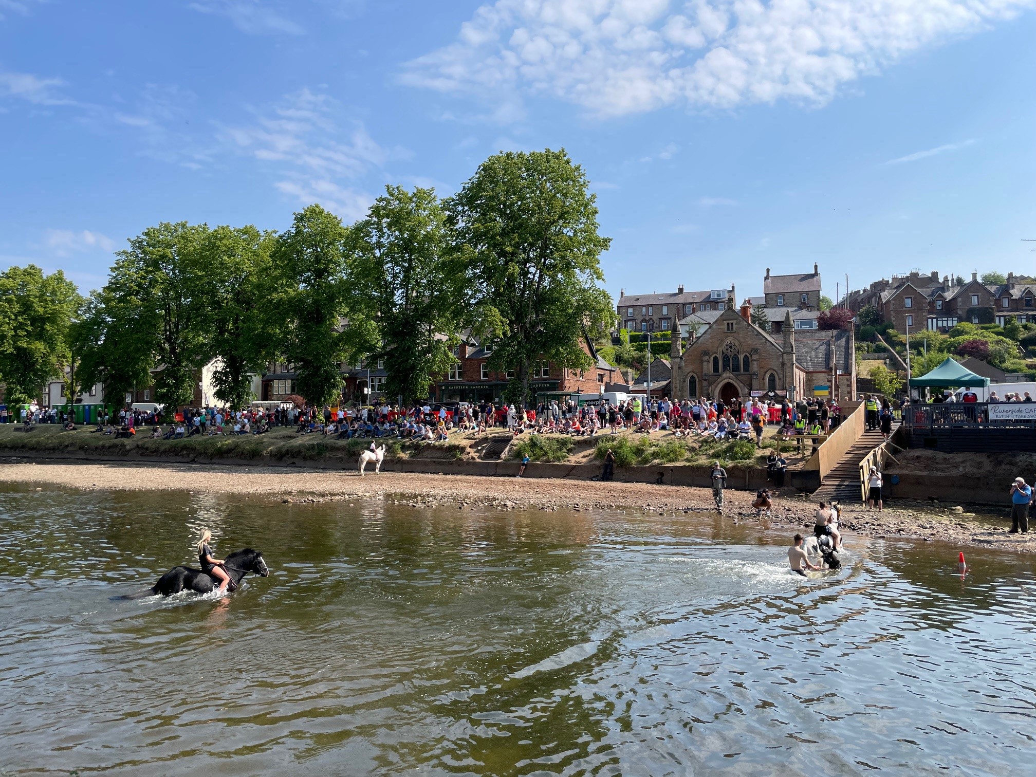 MASCG | Appleby Horse Fair